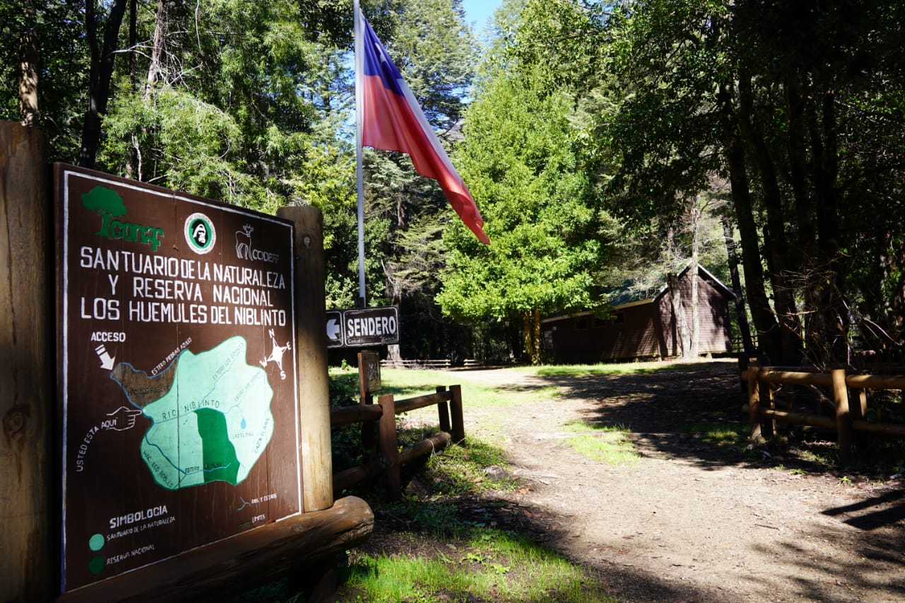 Reserva Nacional Los Huemules del Niblinto reabre sus puertas a ...